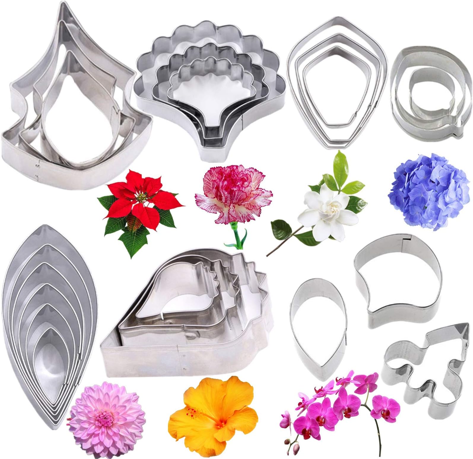 Amazon.com: 12set Gum Paste Flower Tools- Gumpaste Flower Molds and ...