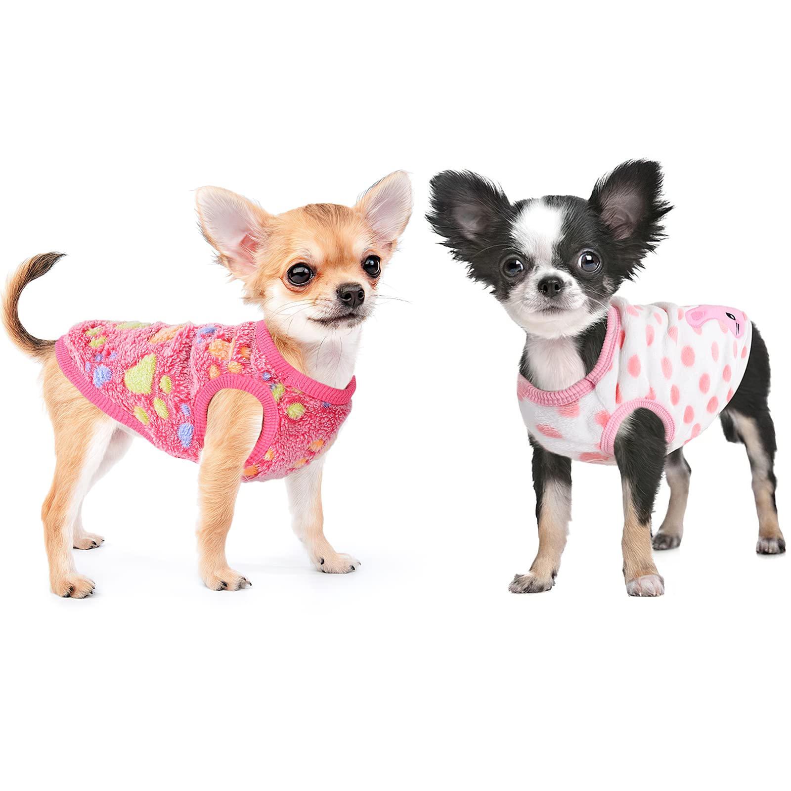 Boy Teacup Yorkie Clothes