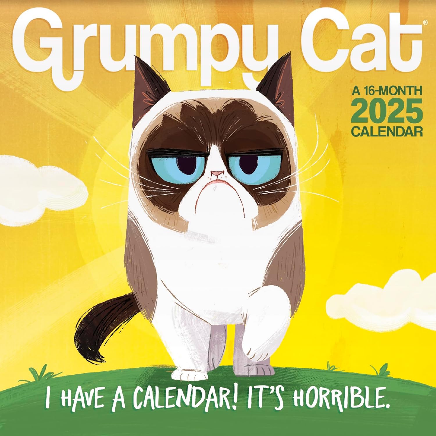 2025 Grumpy Cat Mini Wall Calendar : Amazon.ca: Office Products