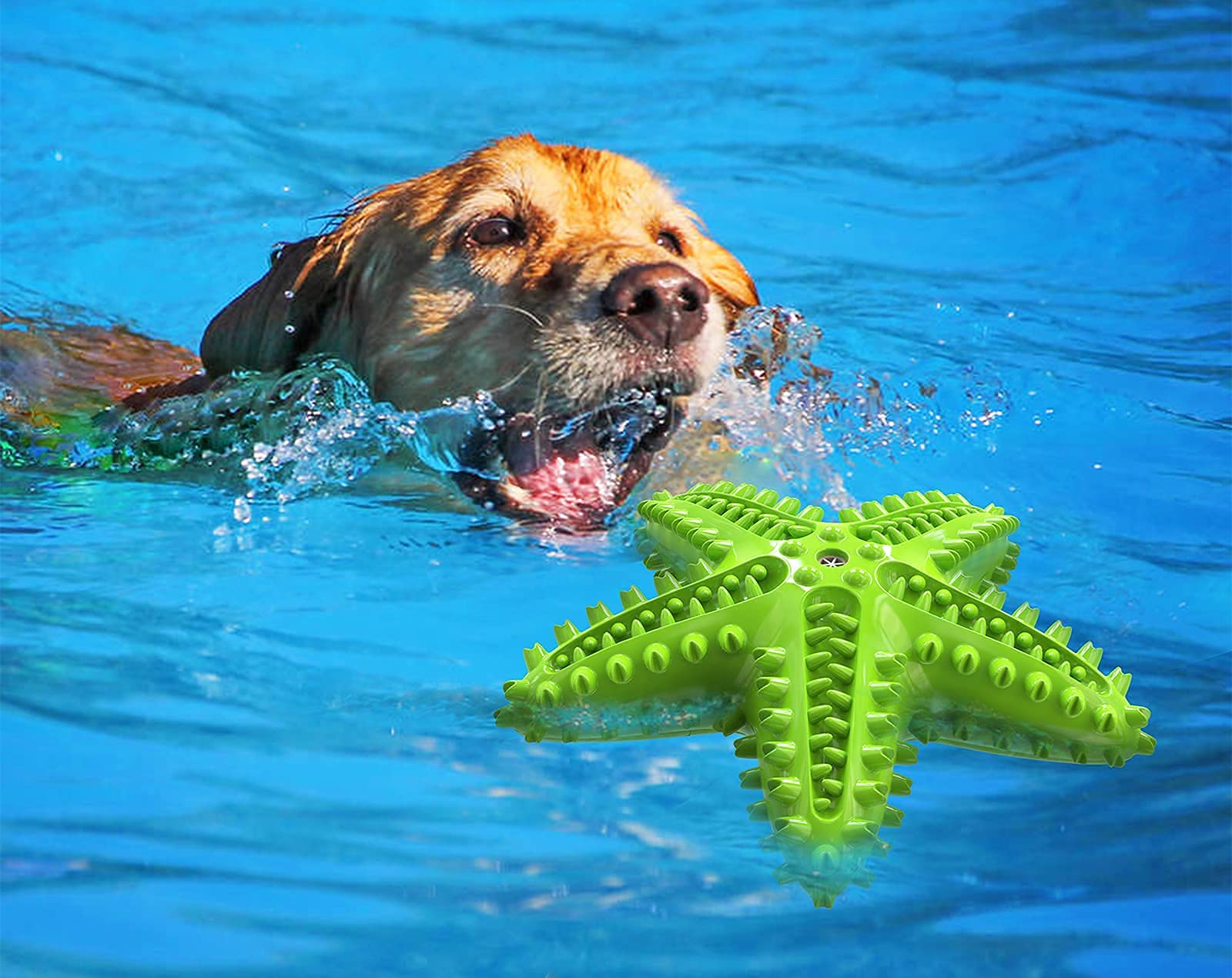 Dog Chew Toy, Starfish Puppy Teeth Toy, Dog Teething Cleaning Chew Toys ...