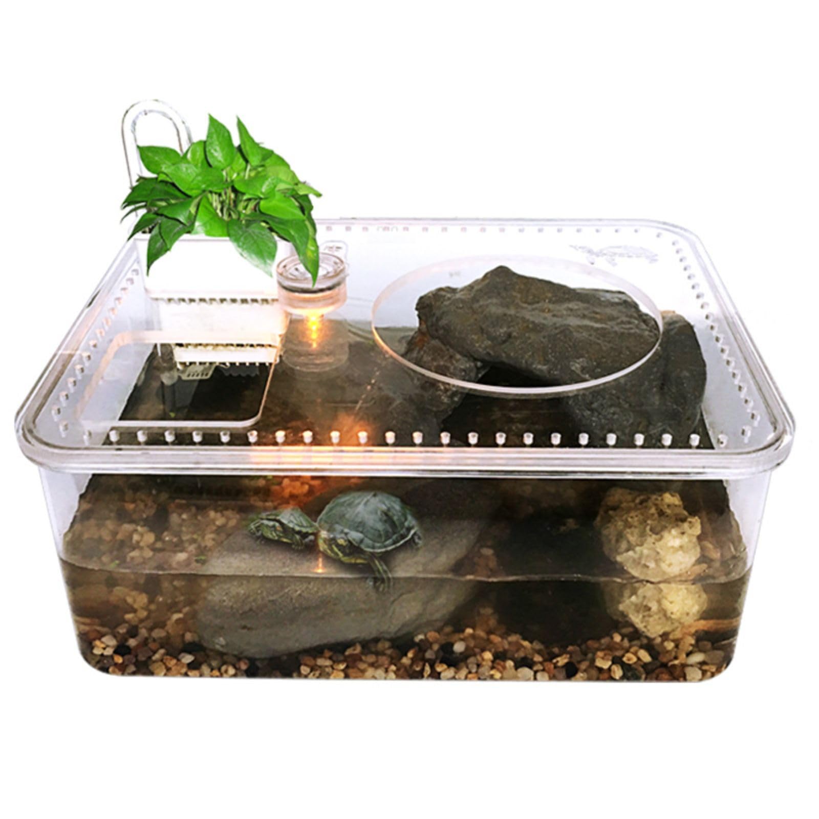 Snapklik.com : Turtle Tank Kit, Acrylic Aquatic Turtle Tank, Full View ...