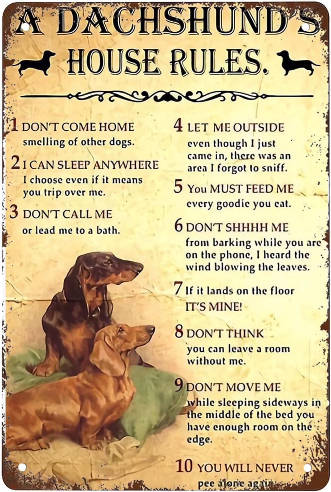 Amazon.com : Cusde Dachshund Dog Bicycle Company Ride With Pride Metal ...