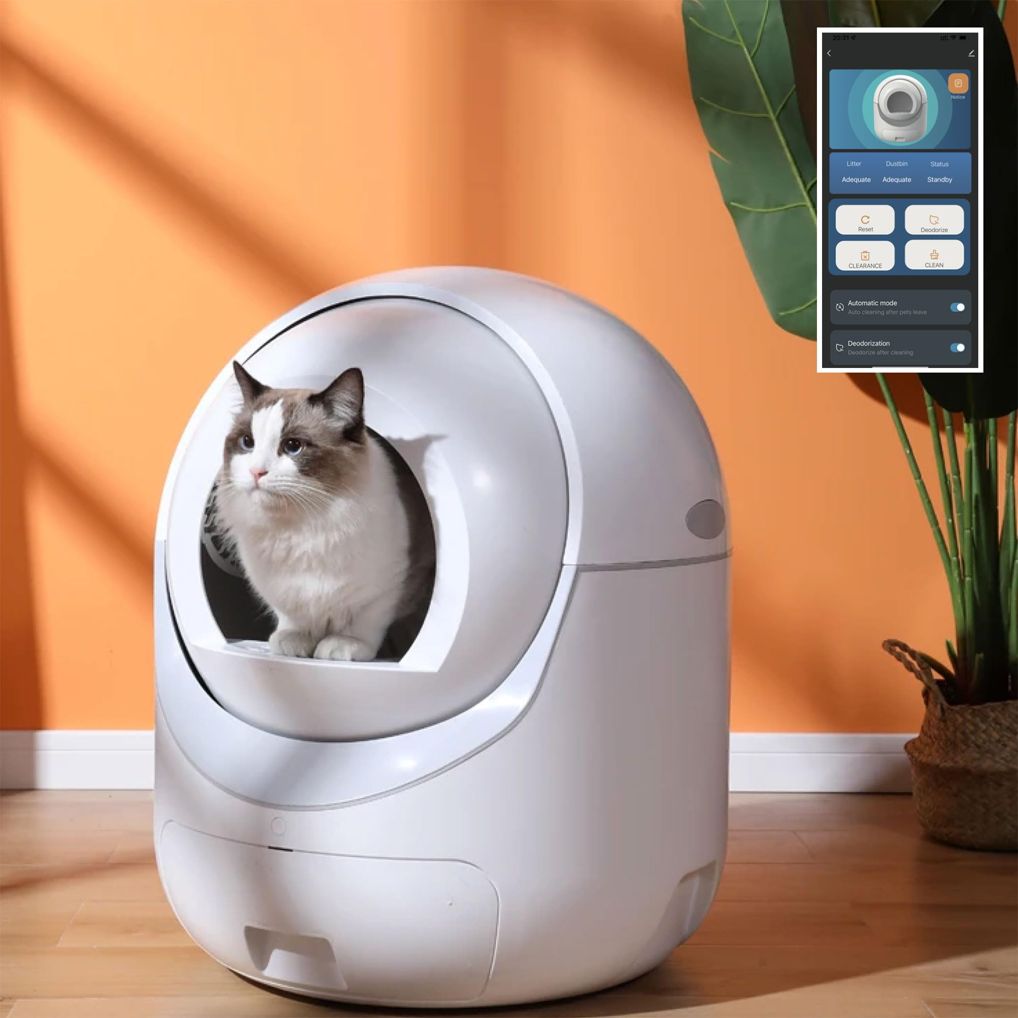 Belvie Pets Automatic Cat Litter Box - Self-Cleaning, Robotic Kitty ...