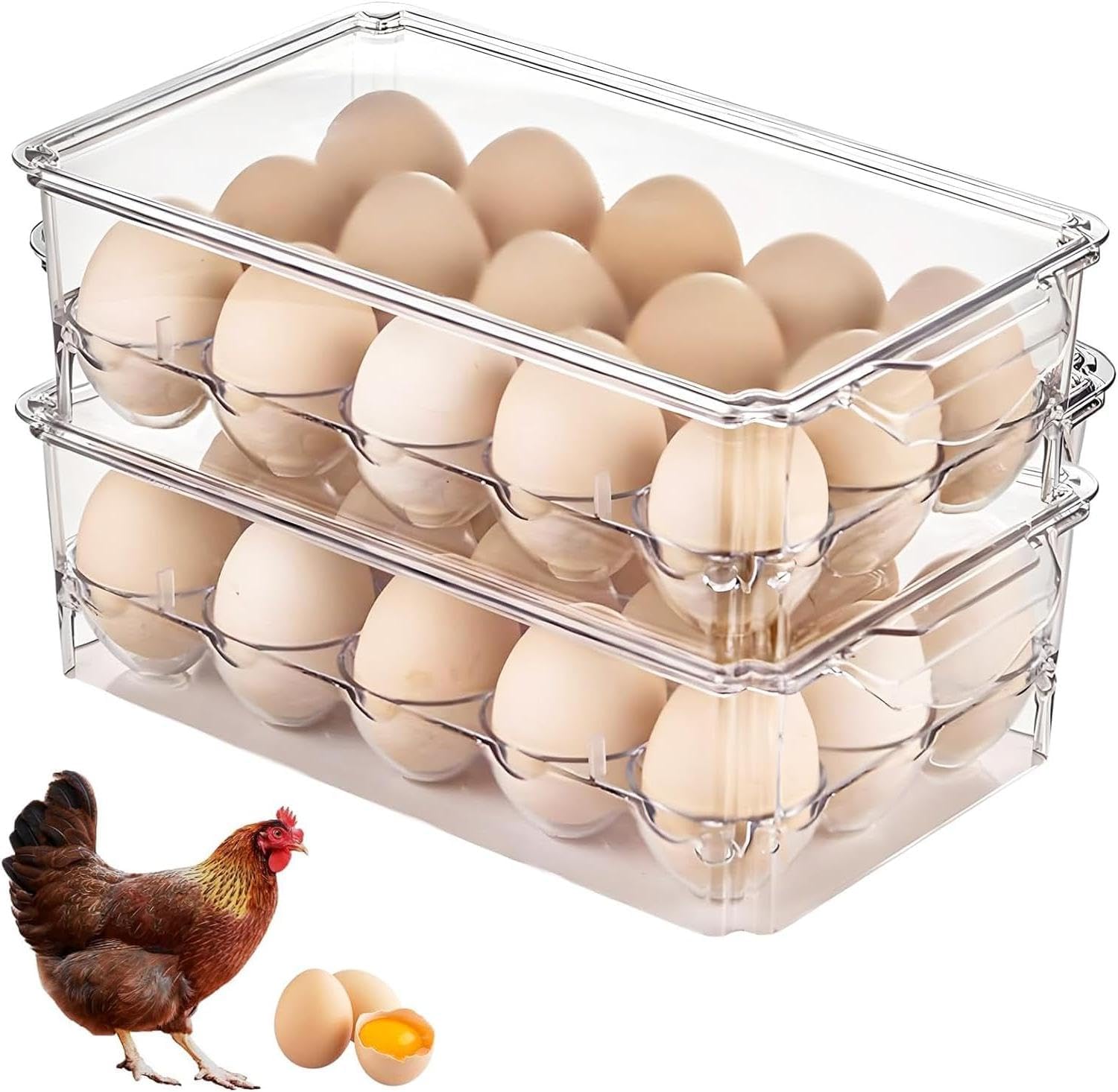 Magma Life Organizador Contenedor para Huevos con 2 Cajones: Capacidad ...