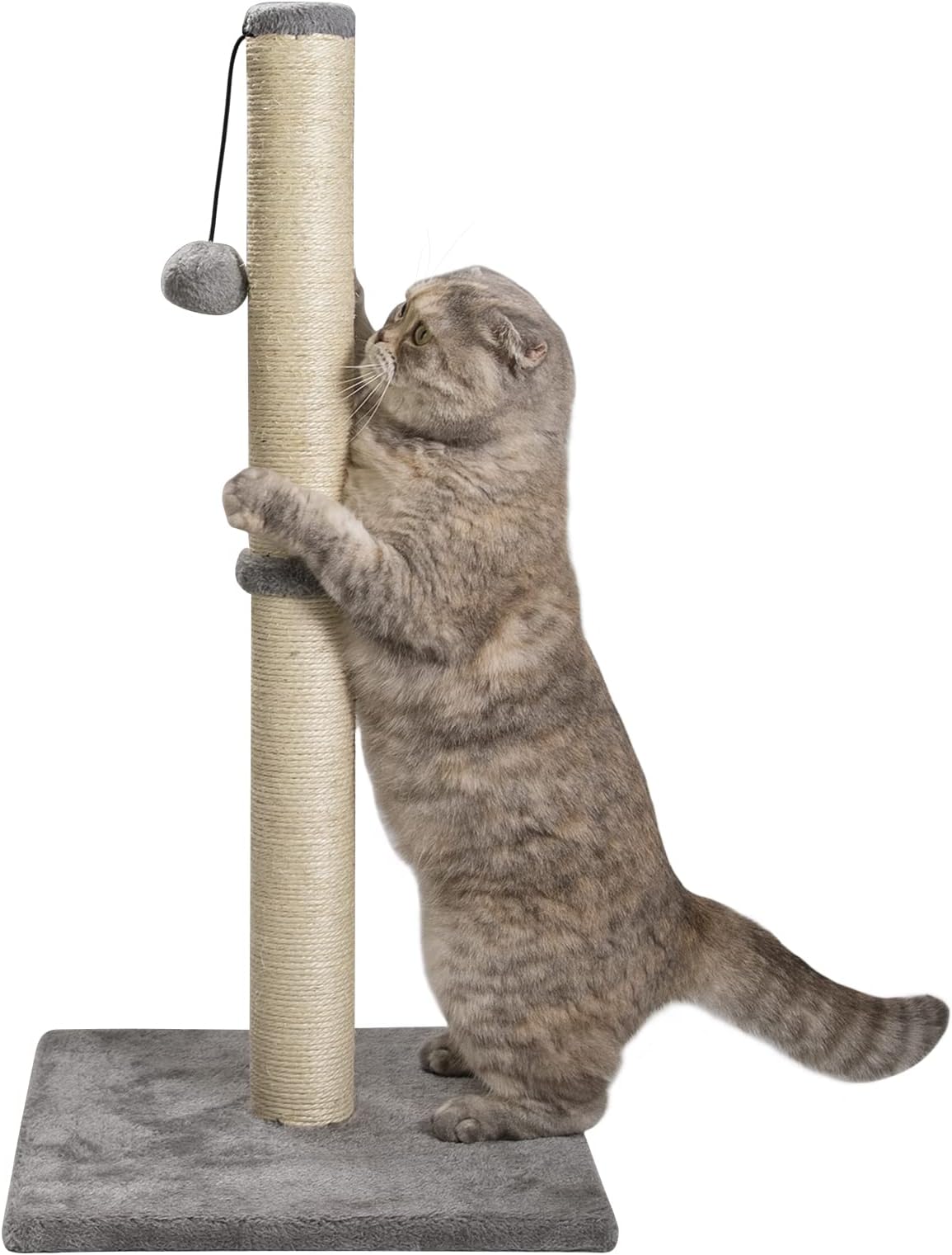 Amazon.com : Fhiny Cat Scratching Post, 31" Tall Scratch Tree Natural ...
