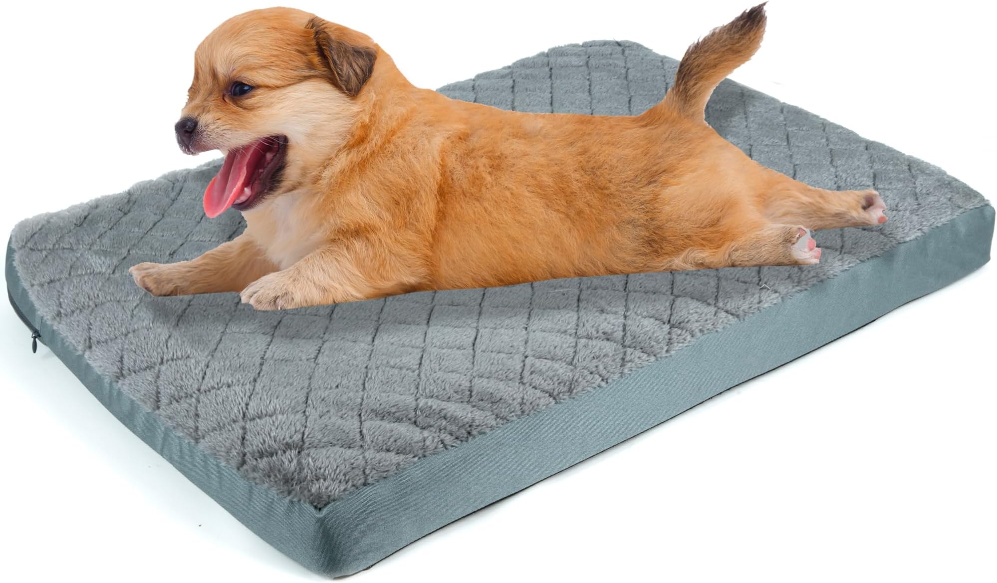 ZENO Dog Bed | Large Dog Bed | Orthopedic Dog Bed with Removable Zipper ...