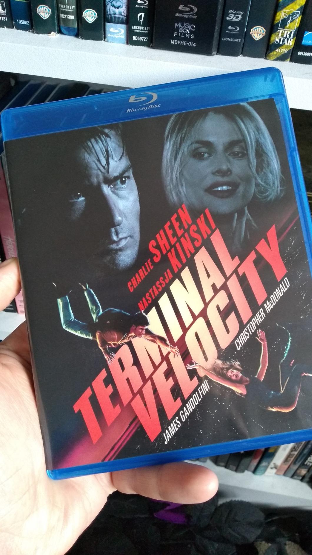 Terminal Velocity [DVD] [1995]: Amazon.co.uk: Sheen, Charlie, Kinski ...