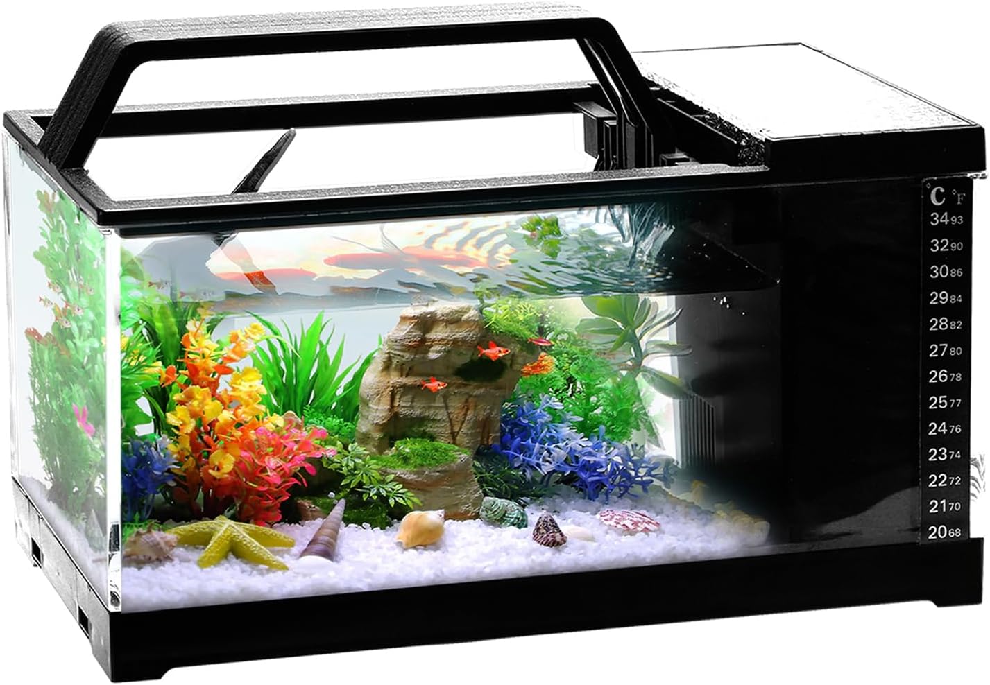 TUOJINRUIDA Small Fish Tank with Filter and Light - 1.2 Gallon Aquarium ...