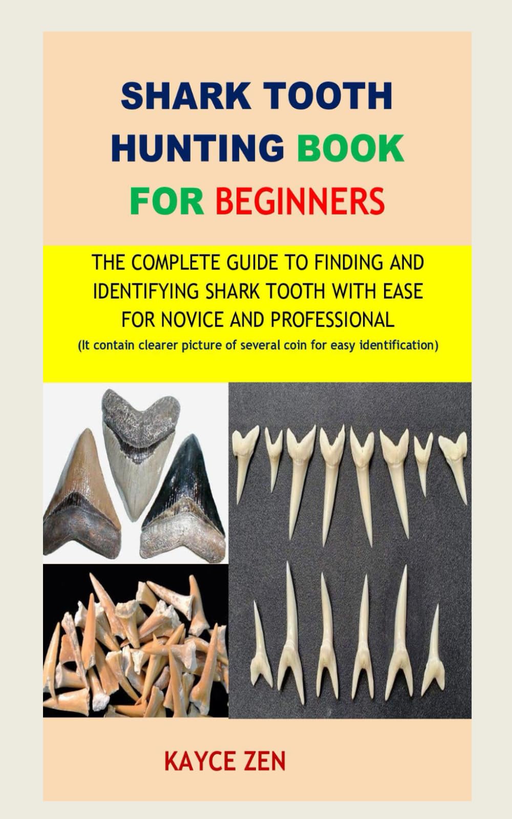 Identifying Shark Teeth Shark Tooth Identification Guide (medium).