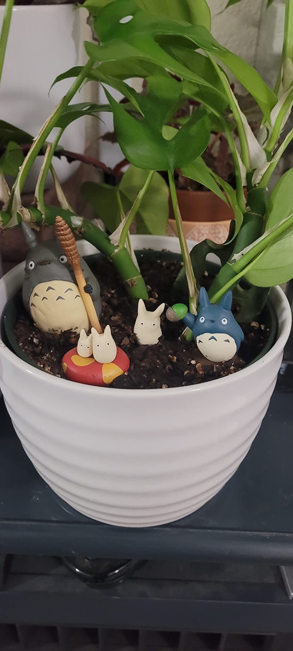 $7/mo - Finance Studio Ghibli via Bluefin Ensky My Neighbor Totoro ...