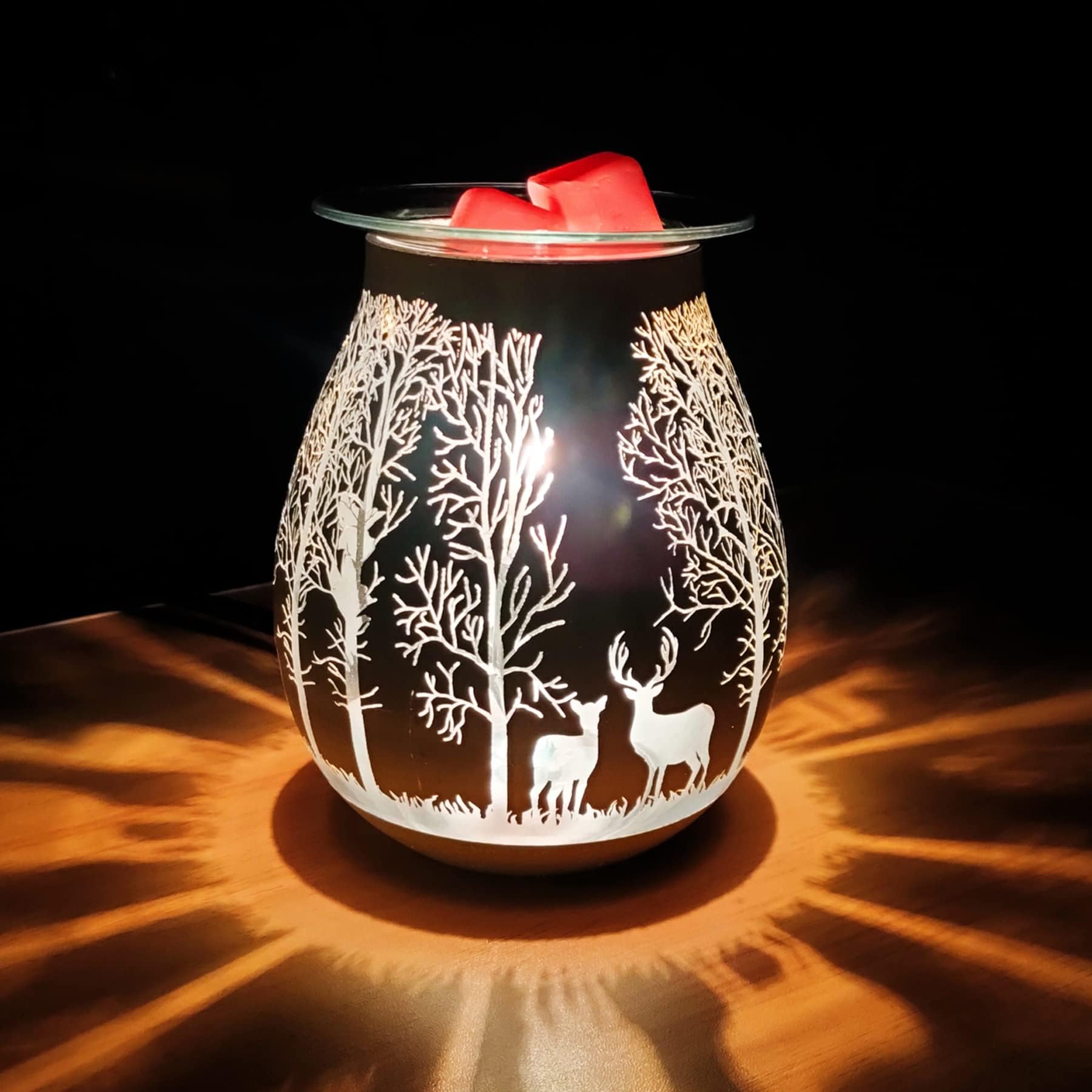 Amazon.com: Scentsationals Wax Warmer, Scented Wax Cube Melter, Flower ...