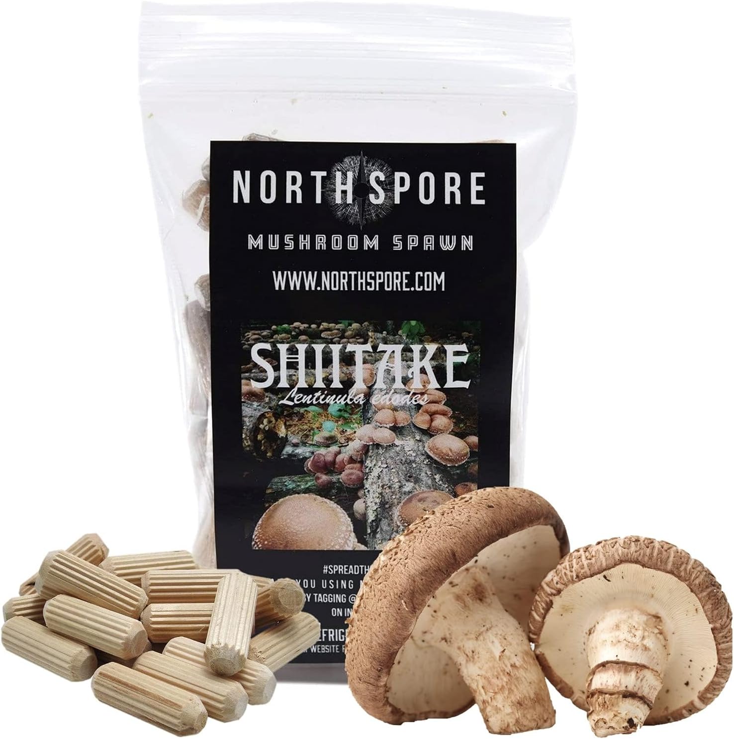 Amazon.com : 100 Chicken of The Woods Mushroom Spawn Plugs to Grow ...