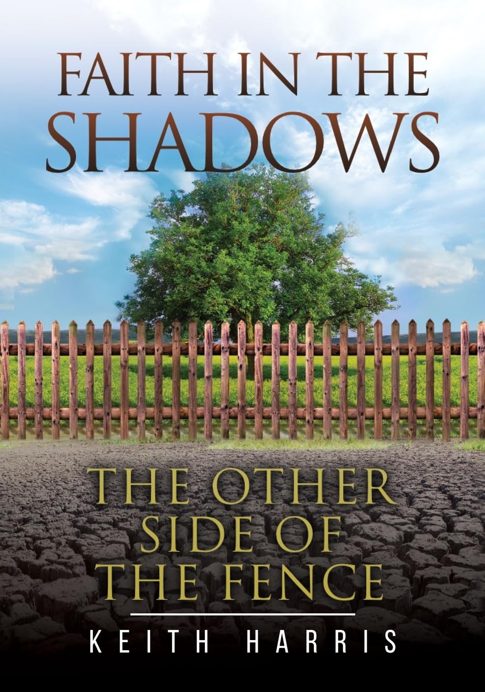 Buy Faith in the Shadows: The Other Side of the Fence Book Online at ...