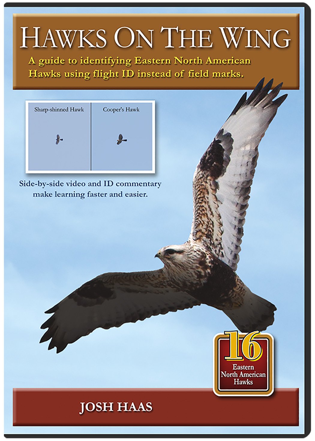Buy Hawks on the Wing: Identifying Eastern Hawks in Flight Online at ...