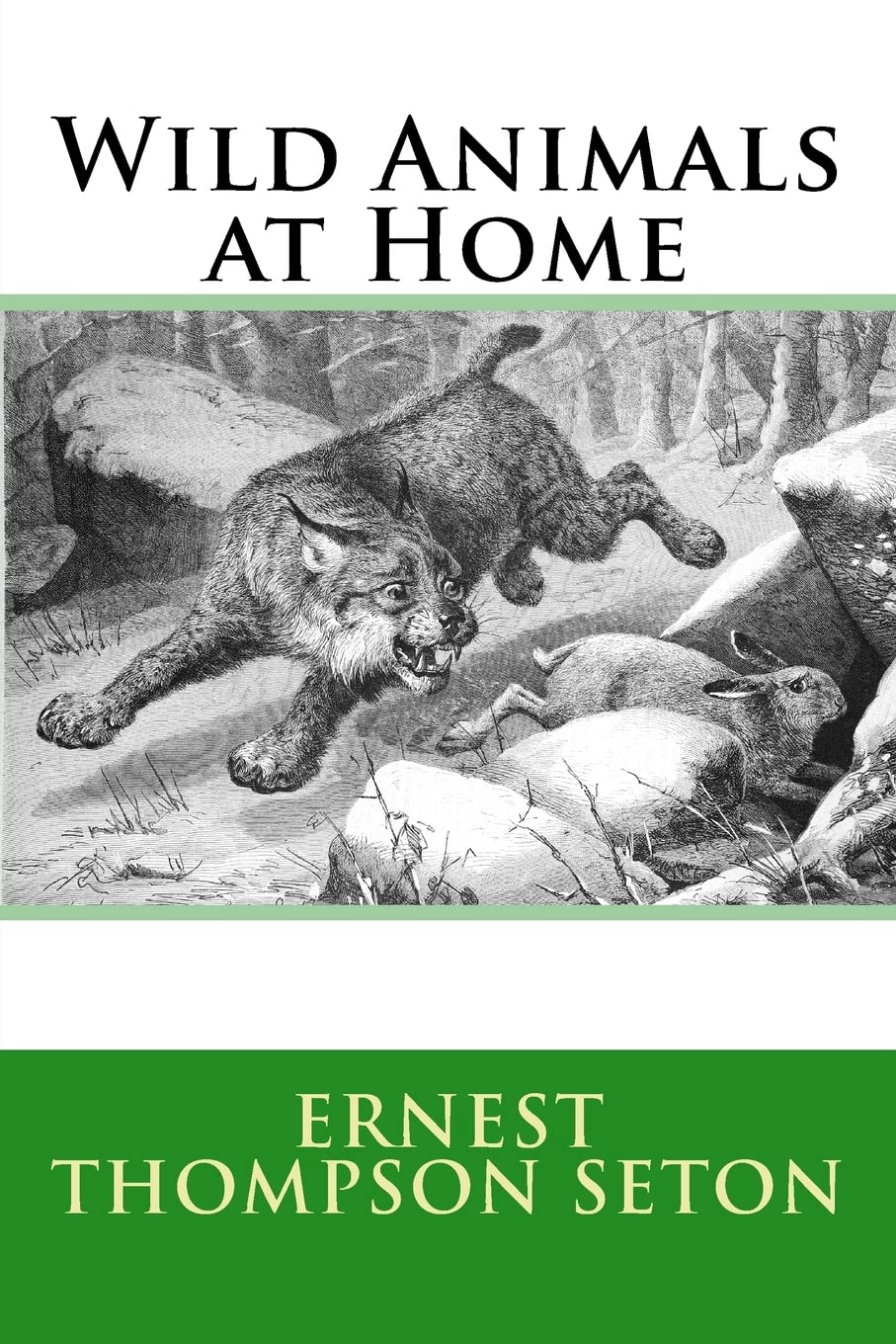 Wild Animals at Home: Seton, Ernest Thompson: 9781500228835: Amazon.com ...