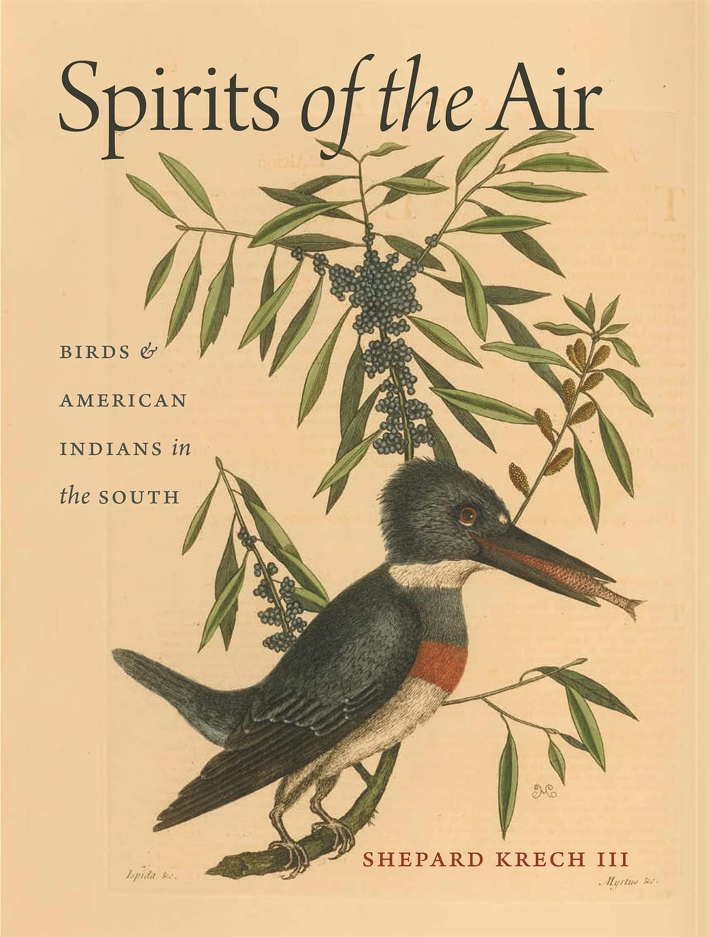 American Spirit Bird
