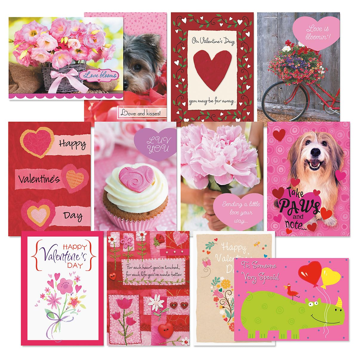 Snapklik.com : Current Valentine Variety Greeting Card - 12 Card Pack