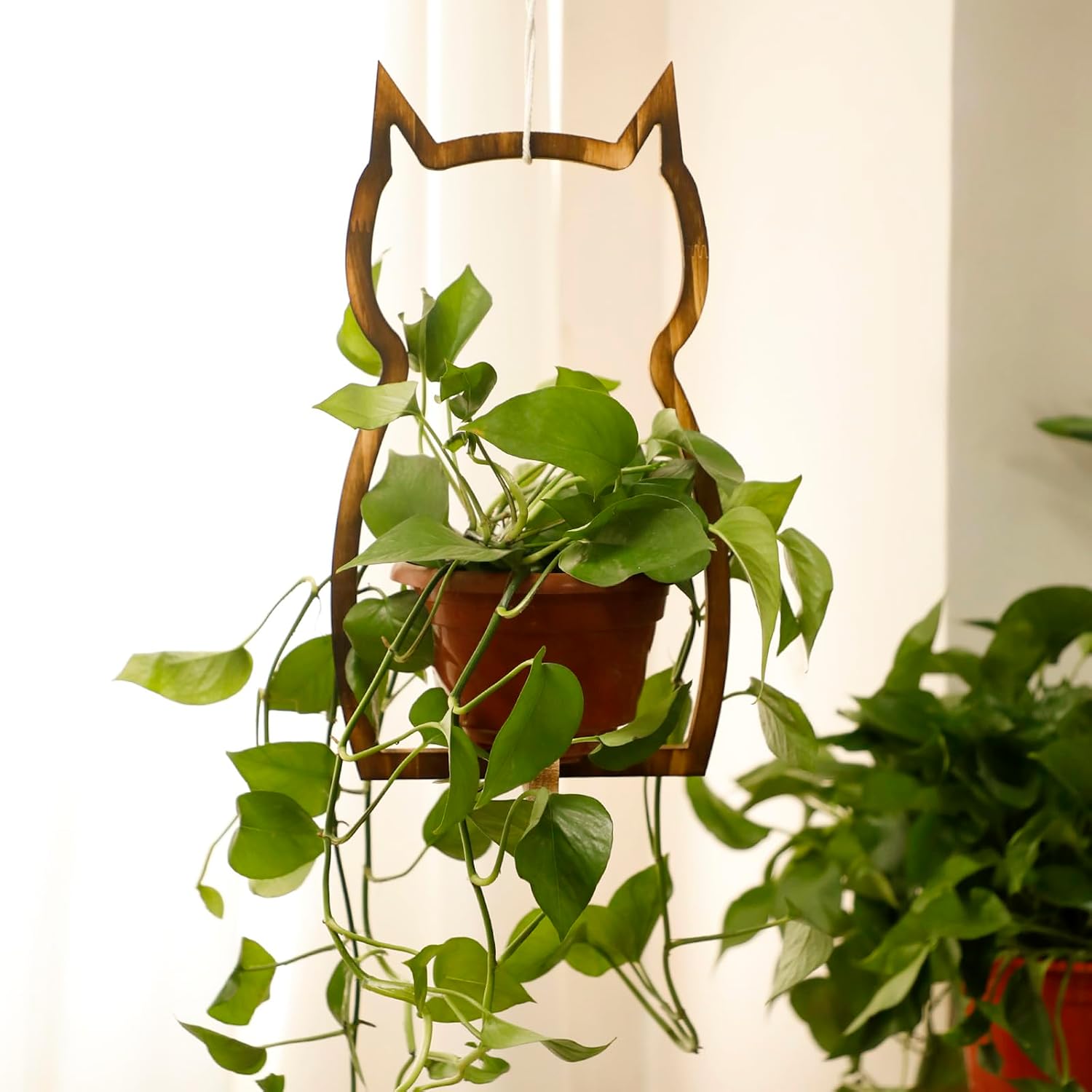 Amazon.com : Artilady Plant Hanger Indoor - Large Cute Cat Wooden Plant ...