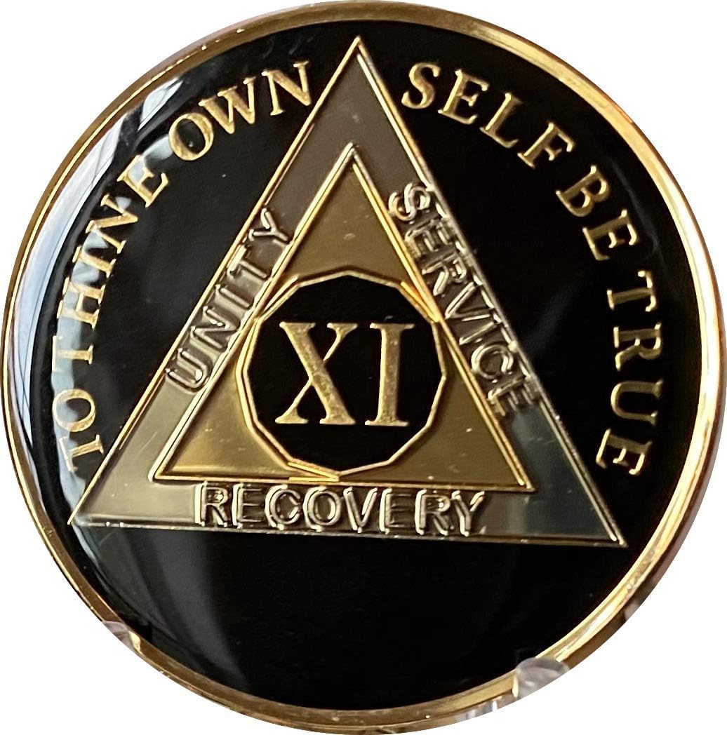 Amazon.com: Ranger Industries 11 Year AA Medallion Glossy Classic Black ...