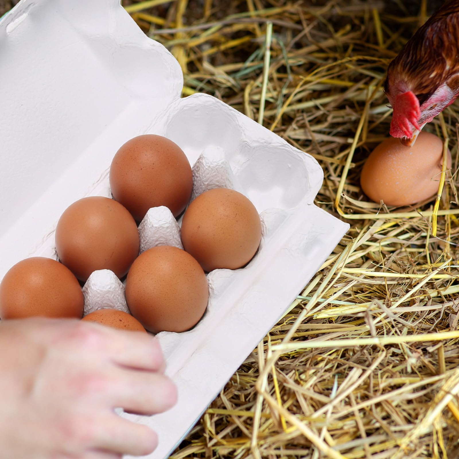 200 Pieces White Cardboard Egg Cartons Blank Paper Pulp Egg Cartons ...