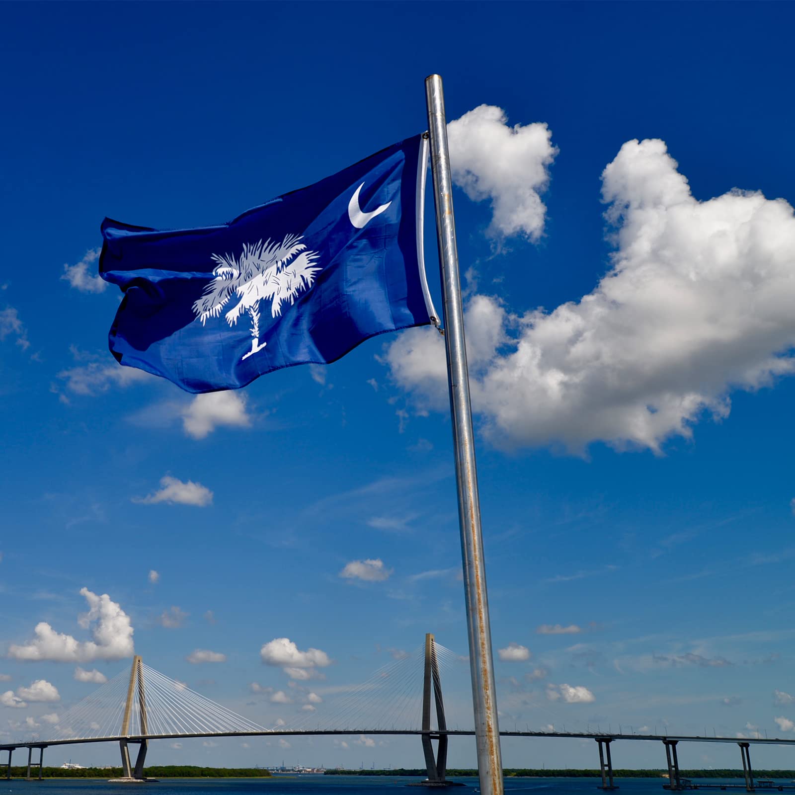 Snapklik.com : TOPFLAGS South Carolina Flag 3x5 Outdoor SC State Flags ...
