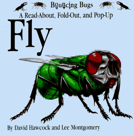Amazon | FLY (Bouncing Bugs) | Hawcock, David | Zoology