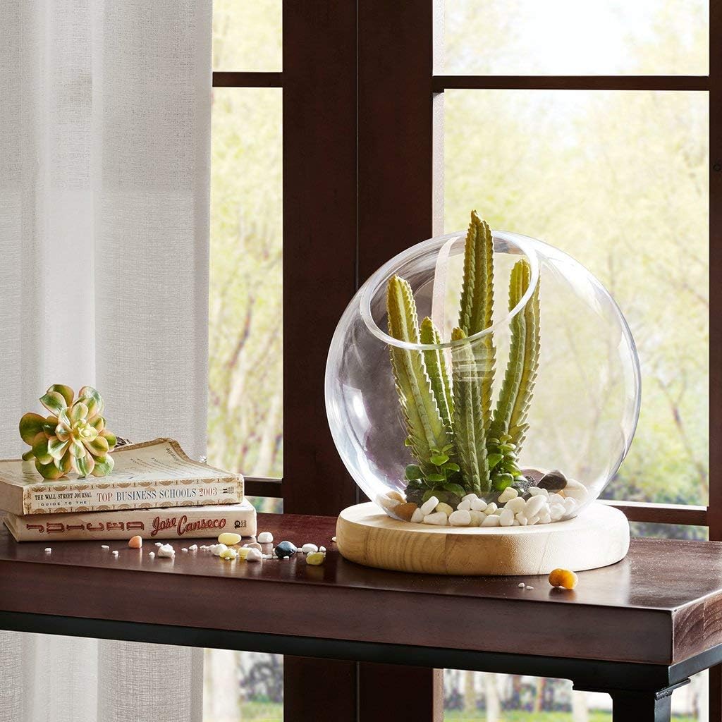 Amazon.com: Madison Park Bubble Terrarium with Wood Base-Modern Living ...