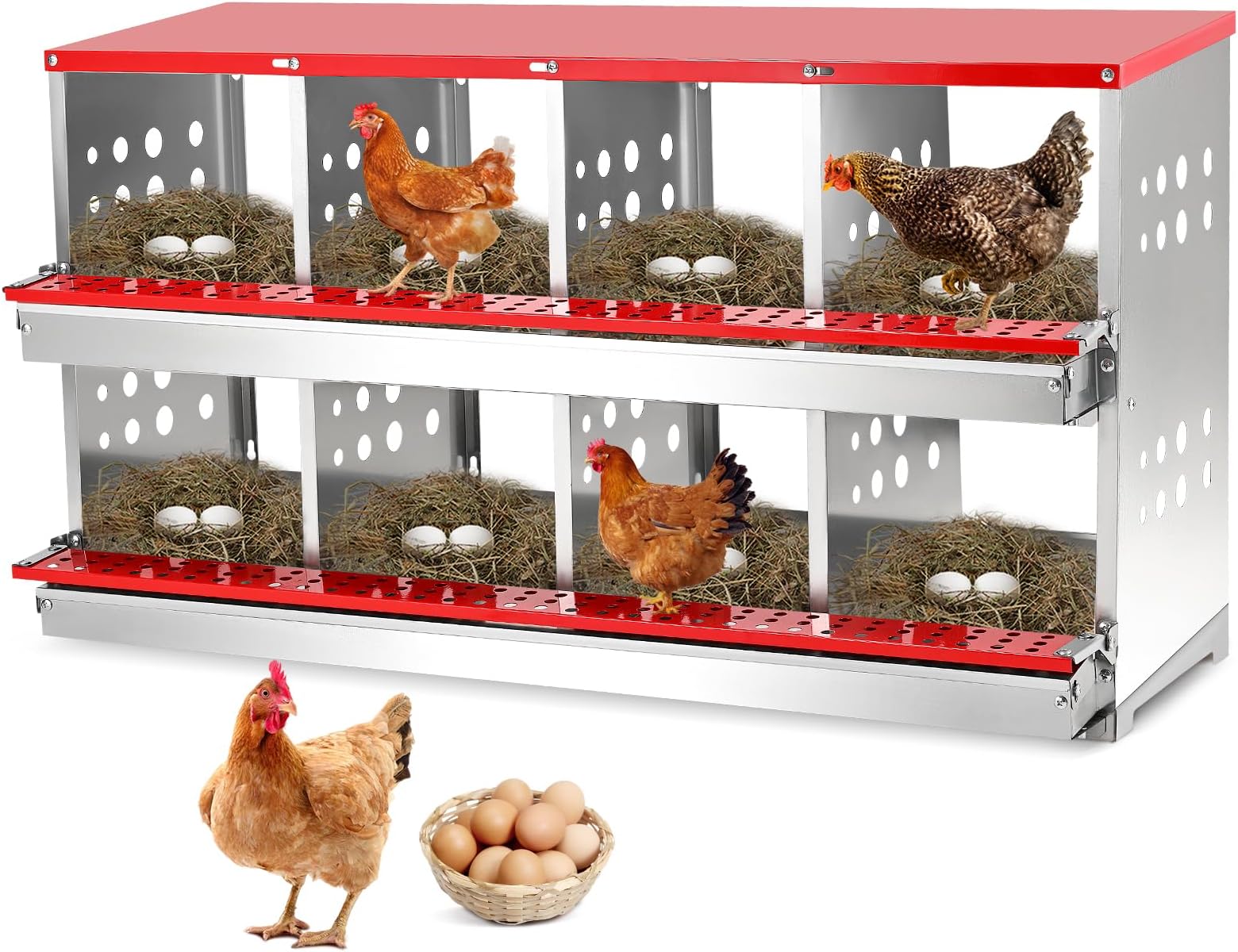 Amazon.com: Chicken Nesting Boxes, LIVOSA 8 Hole Roll Out Chicken Egg ...