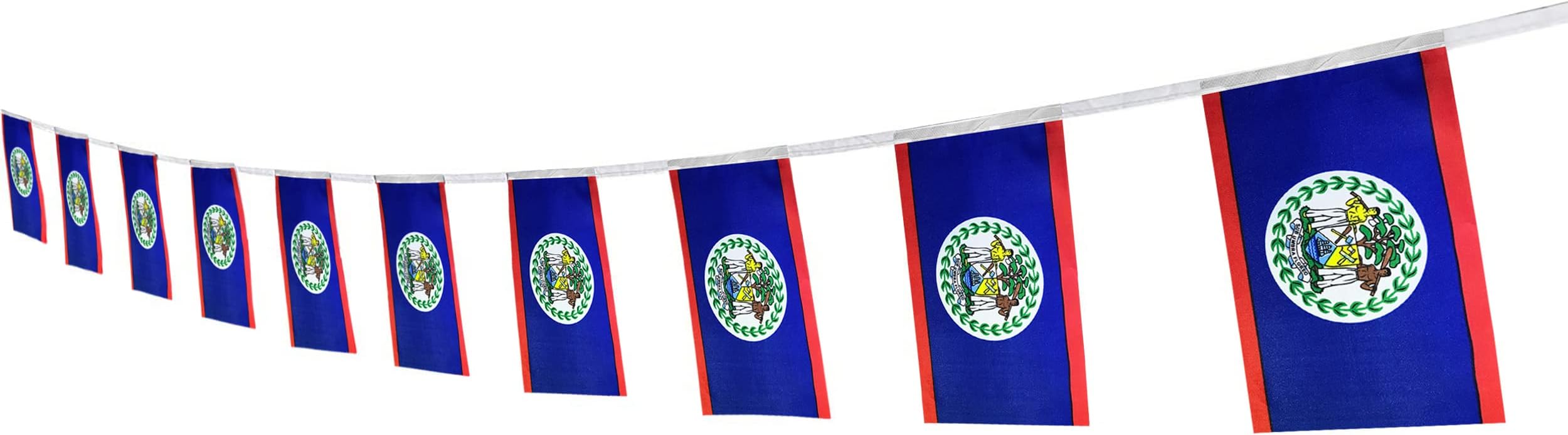 Amazon.com: 226 Different Countries International Stick Flag of the ...