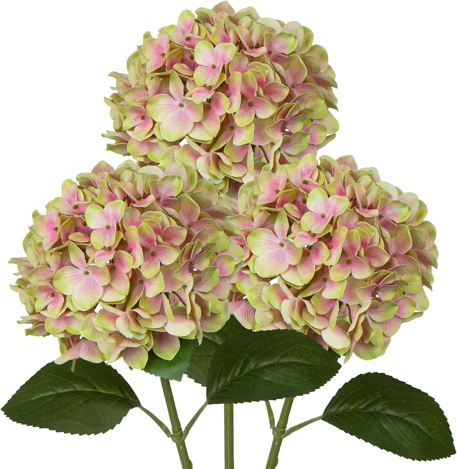 Amazon.com: SUMTIPHUN 3Pcs Light Green Real Touch Hydrangeas Artificial ...