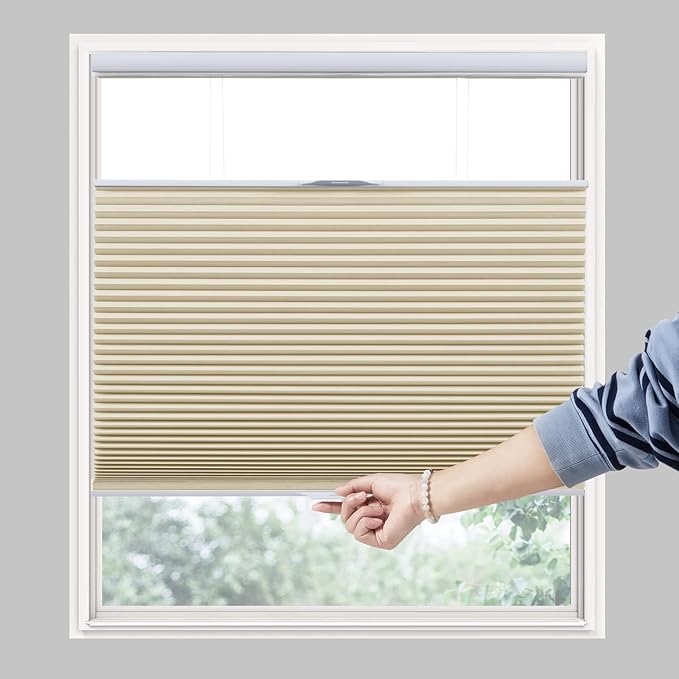 Amazon.com: Persilux Custom Window Blinds Top Down Bottom Up Cellular ...