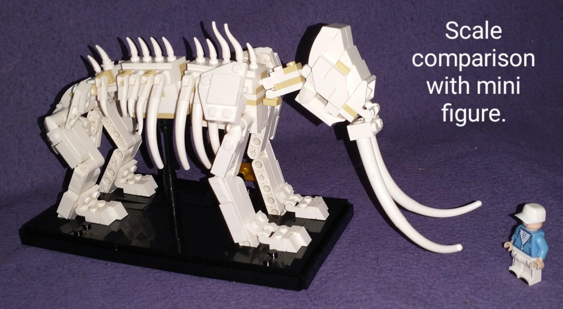 Amazon.com: Apostrophe Games Mammoth Fossil Building Block Set - 406 ...