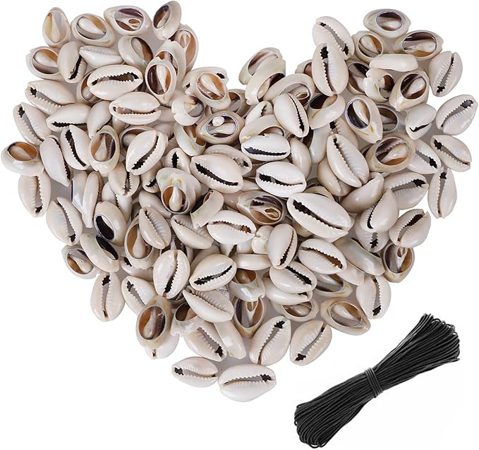 Amazon.com: 150 PCS 0.63"-0.71" Natural Strong Cowrie Shell Beads ...