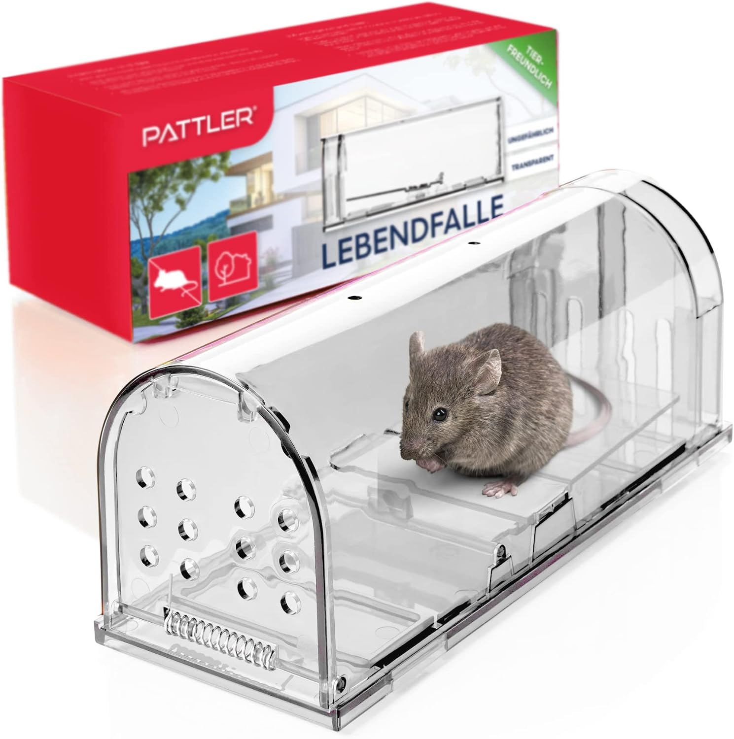 Lebendfalle Fur Waschbaren