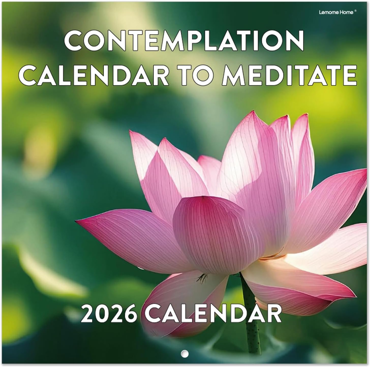 Amazon.com: 2026 Wall Calendar - Meditation Calendar 2026, 2026 ...