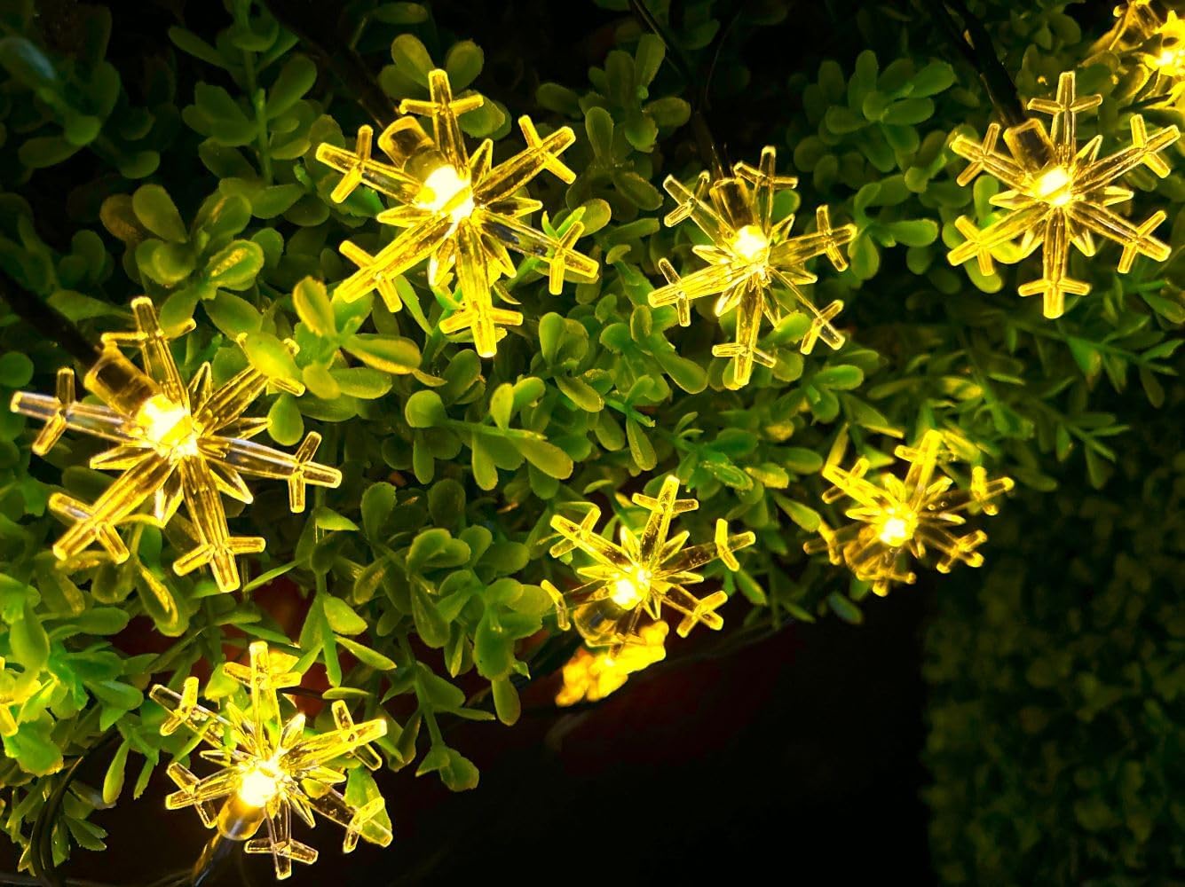 Inngree Cadena de luces para exteriores, 20pies, 30 luces LED ...