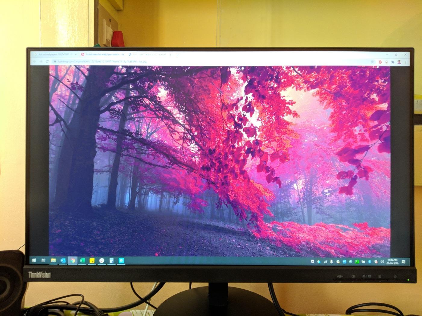 Lenovo ThinkVision S24e-10 23.8" (60.45cms) FHD VA (1920x1080) Monitor ...
