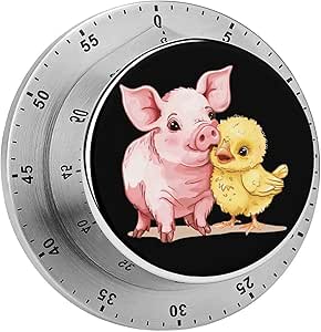 Amazon.com : Pig and Chicken Mechanical Stainless Steel Timer 60 ...