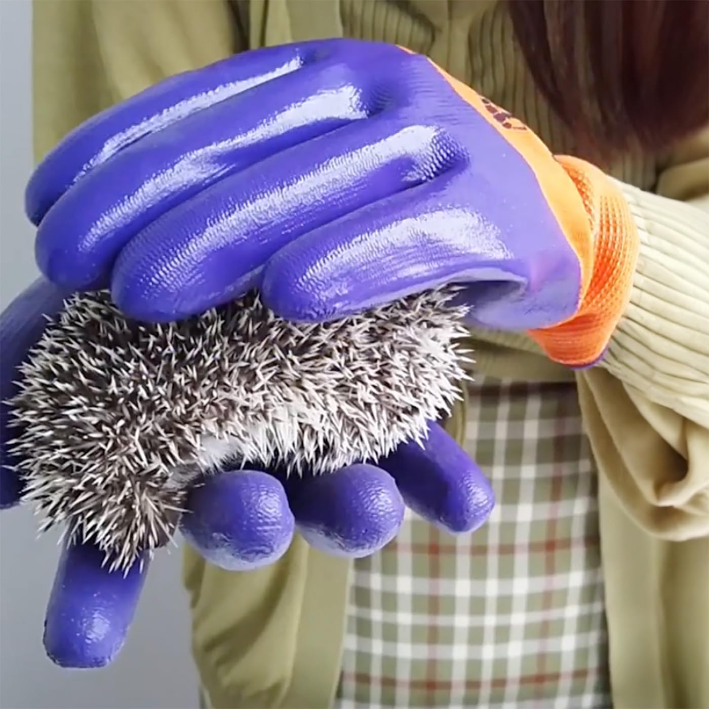 Amazon.com : ZPHXD 1 Pairs Hedgehog Gloves Animal Gloves Hedgehog ...