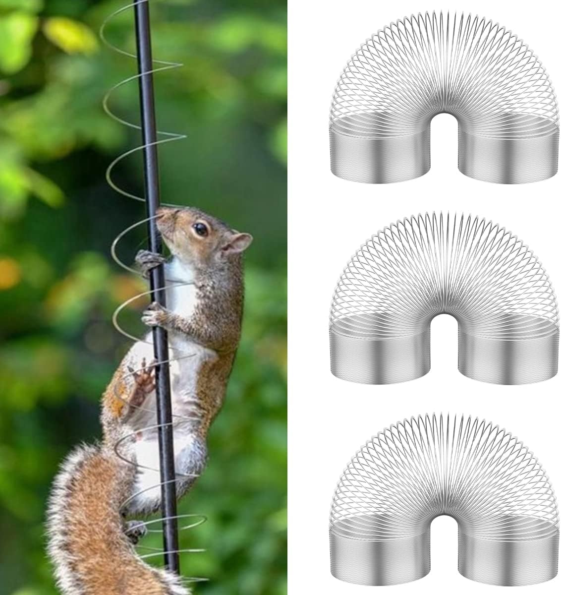 Amazon.com : Squirrel Proof Spring Device, Metal Squirrel Barrier ...