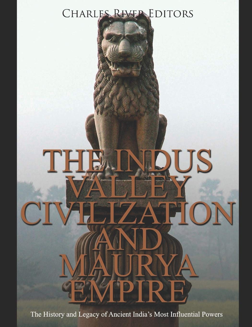 The Indus Valley Civilization and Maurya Empire: The History and Legacy ...