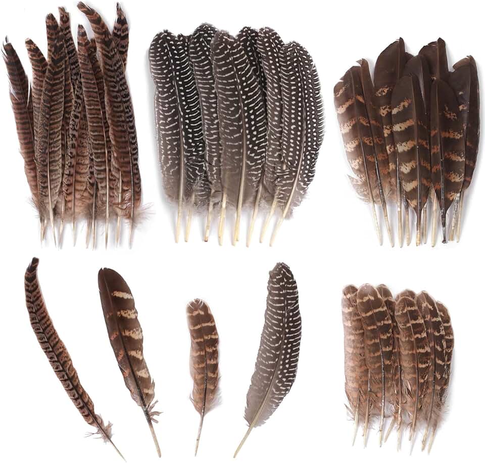 Amazon.co.uk: Feathers