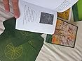 The Tree Angel Oracle Deck: The Ancient Path into the Sacred Grove ...