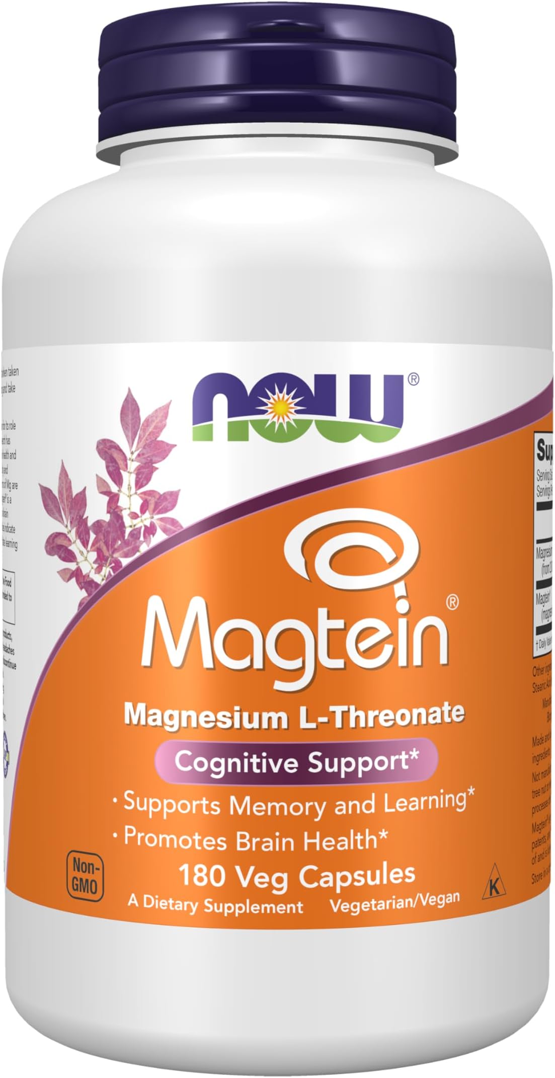Amazon.com: Life Extension Neuro-mag Magnesium L-threonate, 90 Count ...