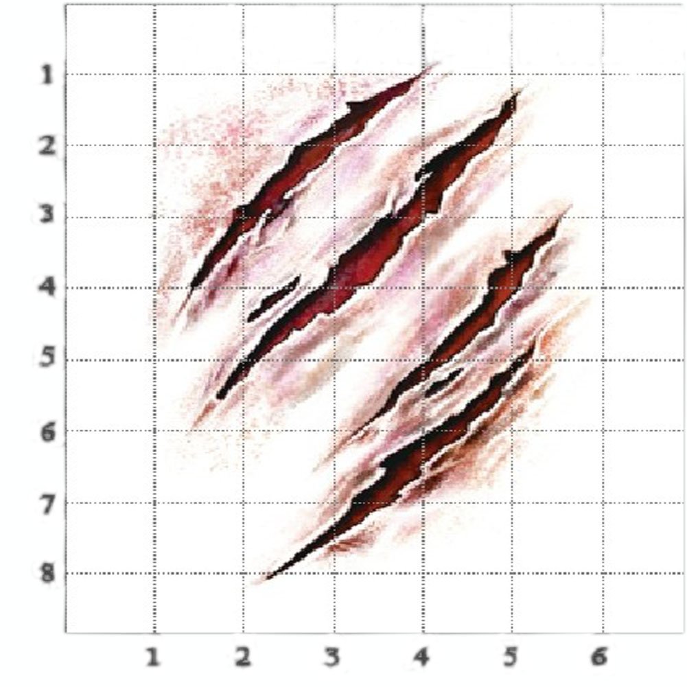 Amazon.com : Set of 4 Cool Stylish Scratch Scar Tattoos Body Tattoo ...