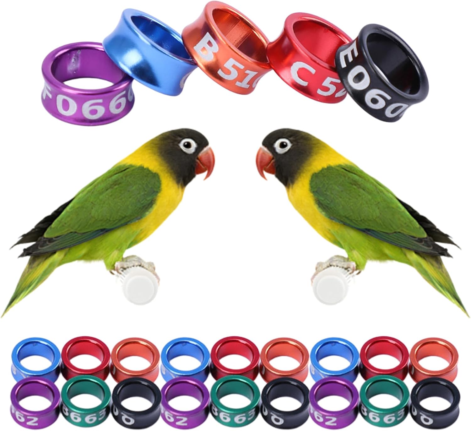Amazon.com: Small Bird Leg Rings Aluminum 4mm-8mm - Waterproof Closed ...