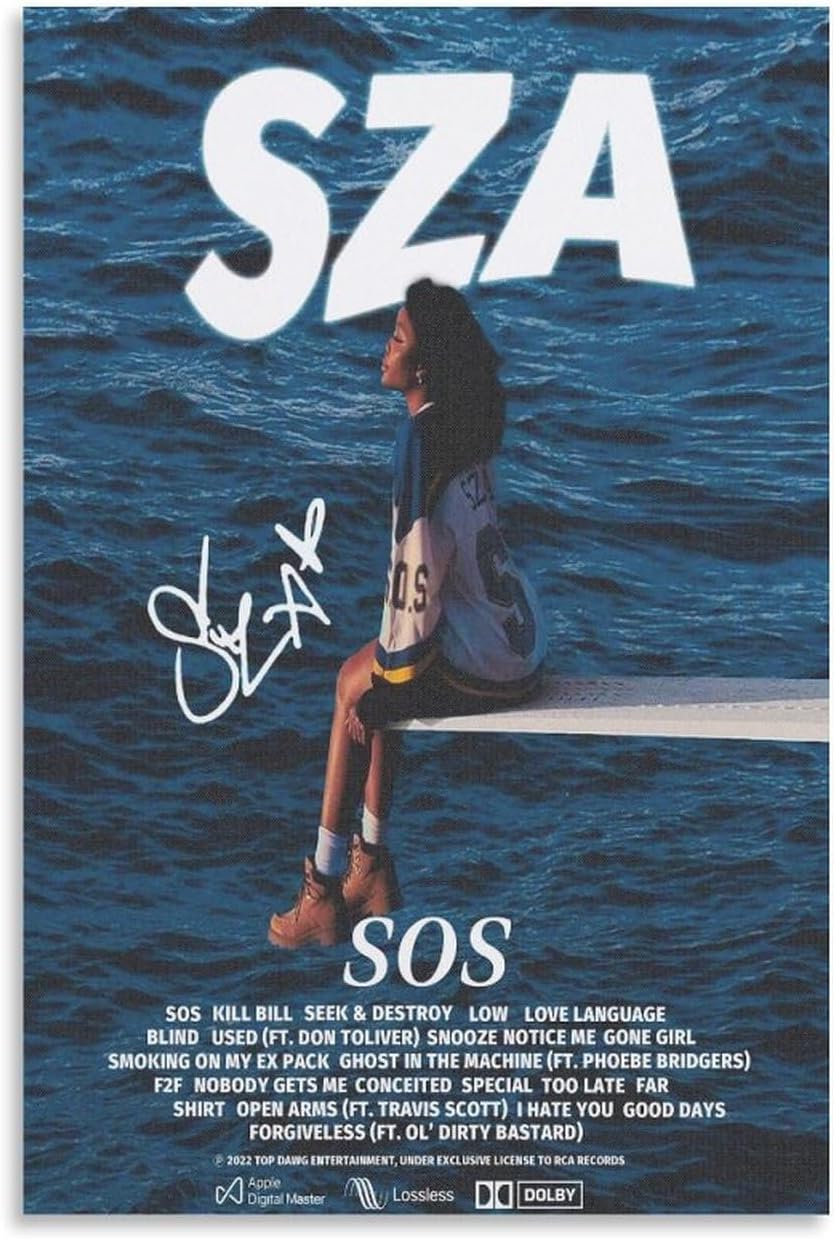 Amazon.com: CSXCLYA Sza Poster Singer Art Retro Poster Sos Album Cover ...