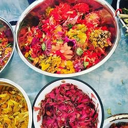 Amazon.com: Botanical Inks: Plant-to-Print Dyes, Techniques and ...