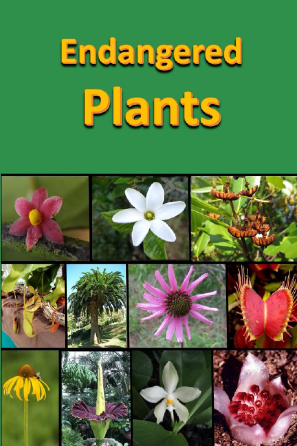Endangered Plants With Their Names