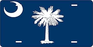 Amazon.com: South Carolina Flag Novelty Tag Vehicle Moped Bike Bicycle ...